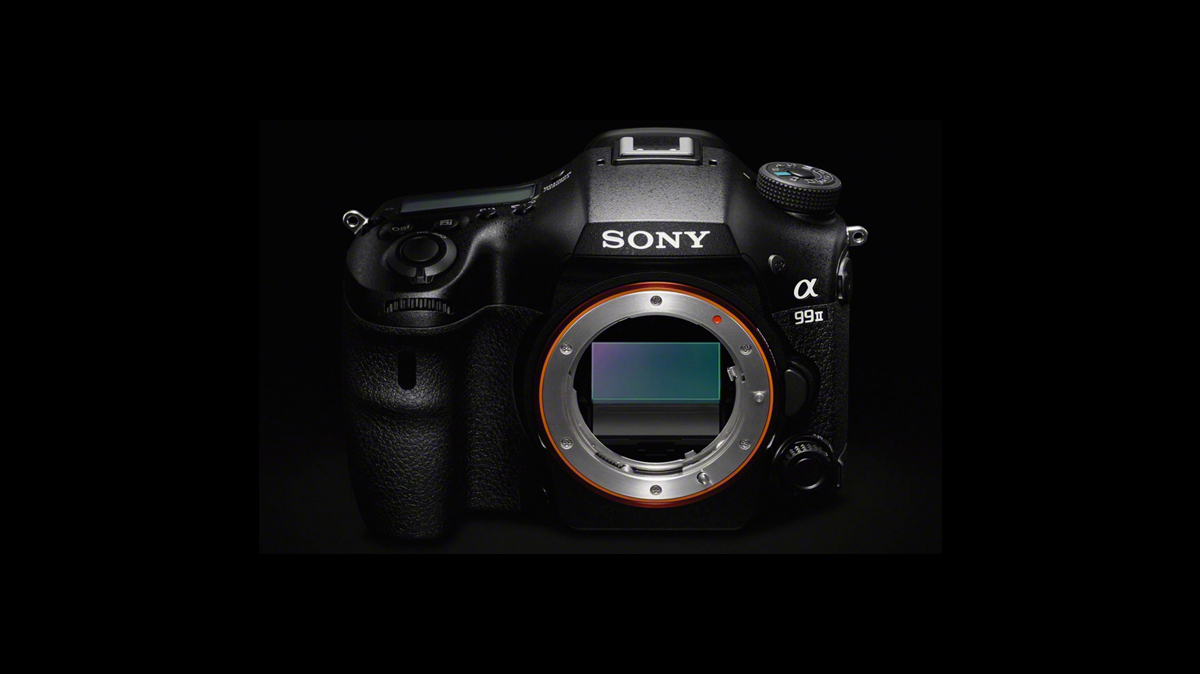 De Sony A99II en zijn ISO kracht! | digifoto Starter